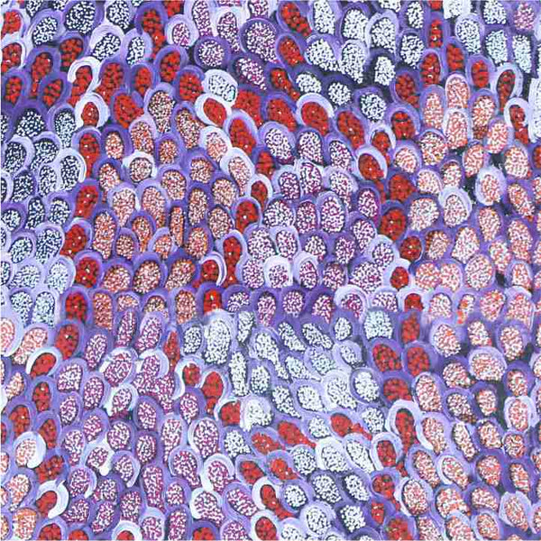 Gari Dari Aboriginal Pattern COTTON Fabric Per Metre - Cindy Wallace B ...